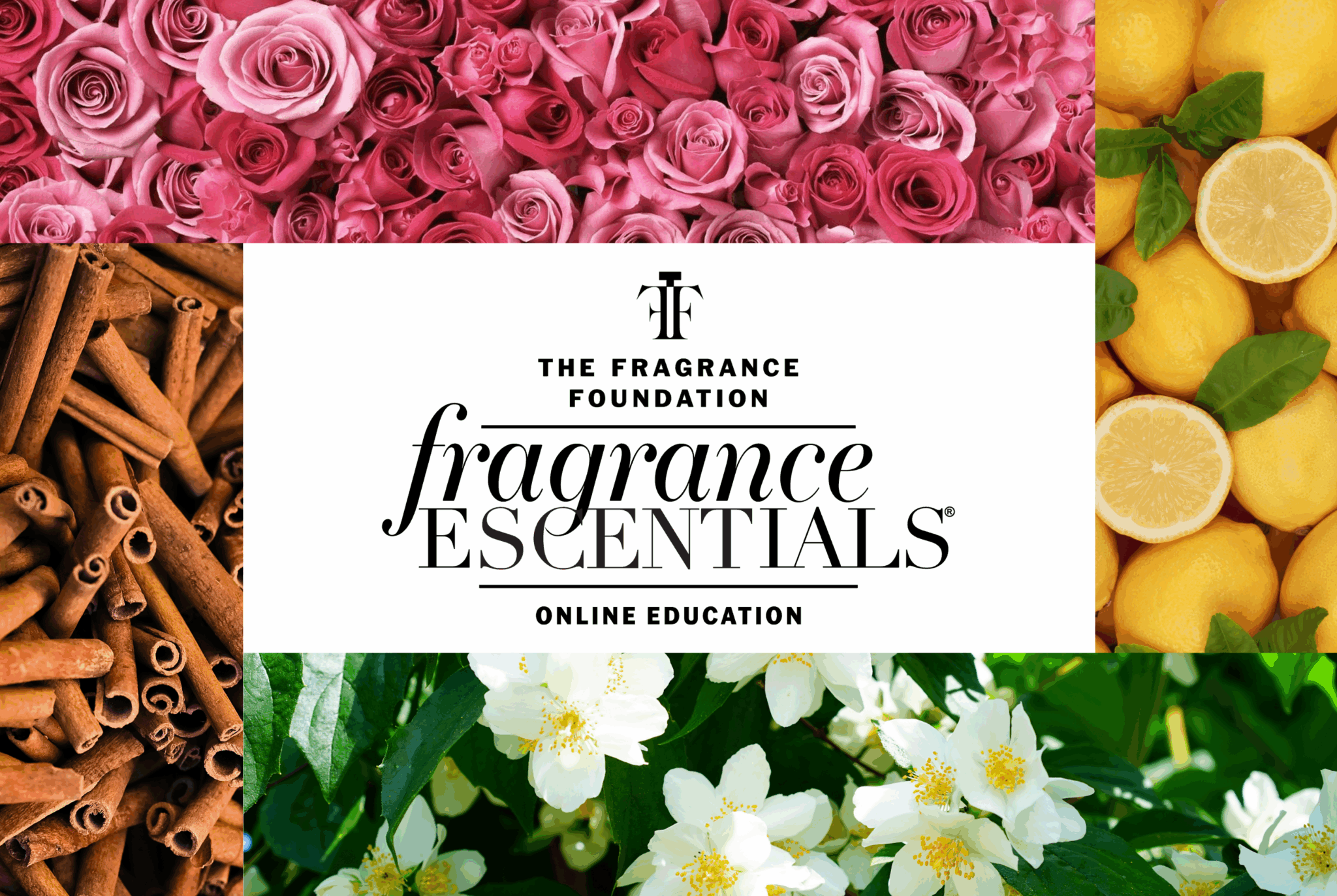 Education — The Fragrance Foundation